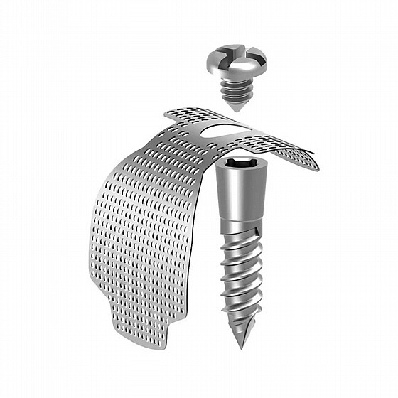 Royal-Dent | רויאל דנט |בורג GBR TENT SCREW כירורגי לקיבוע Bionnovation ...